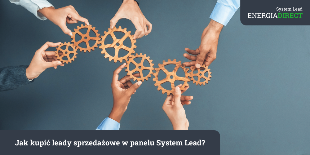 Jak kupić leady sprzedażowe w panelu System Lead - Energia Direct